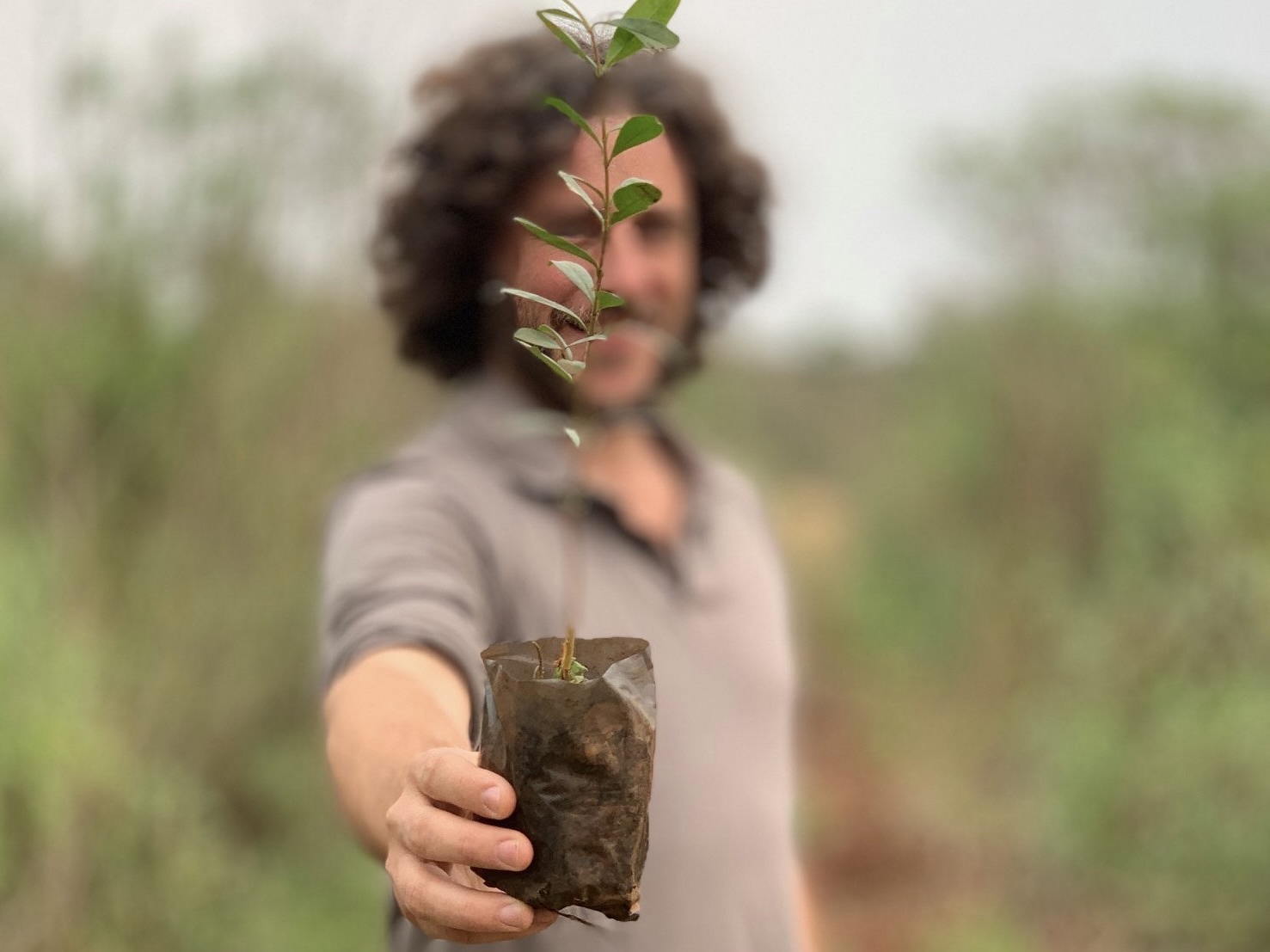Matías Romano, el fotógrafo que hace 10 años regenera la selva ...